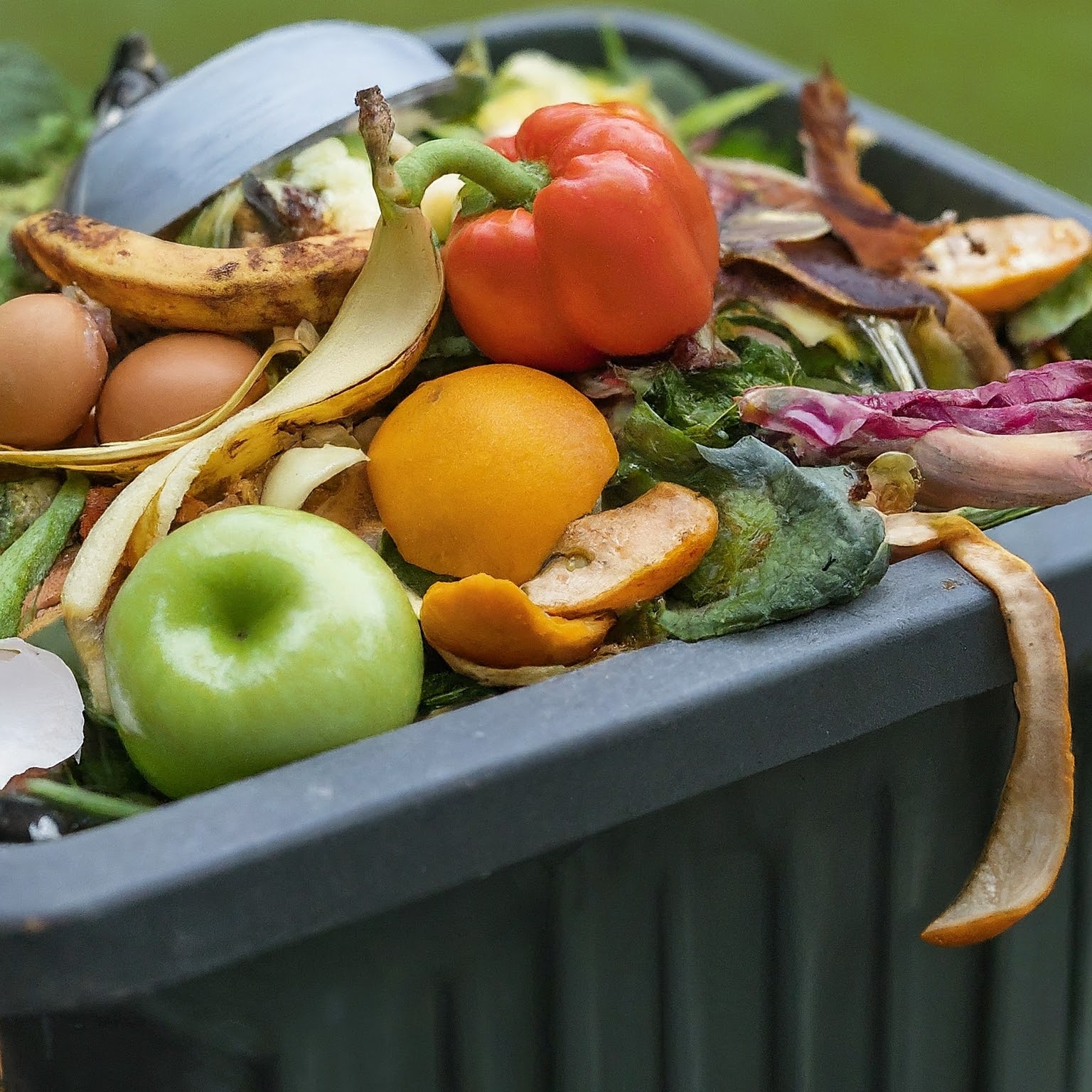 How to Reduce Food Waste in Restaurants - PurePly
